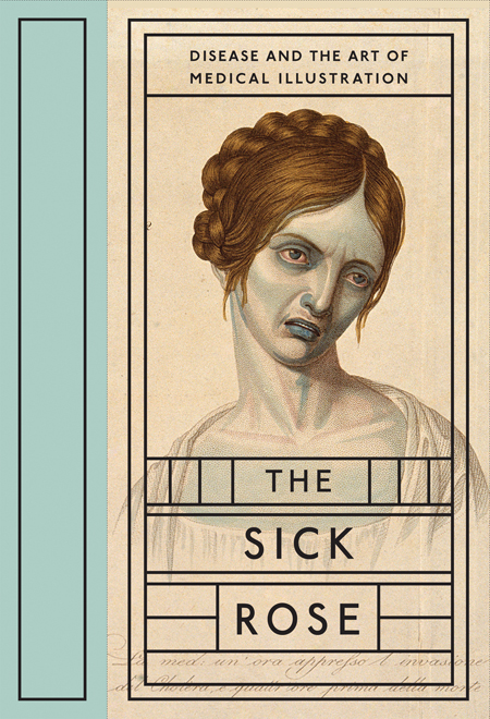 The Sick Rose - ARTBOOK|D.A.P.