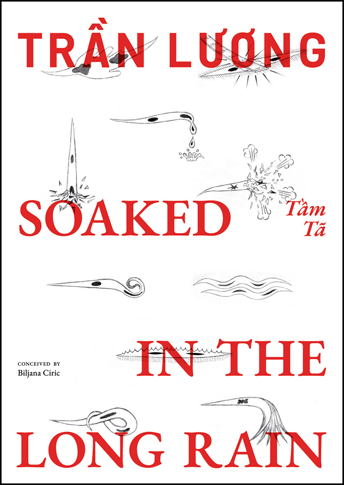 Tran Luong: Soaked in the Long Rain - ARTBOOK|D.A.P.