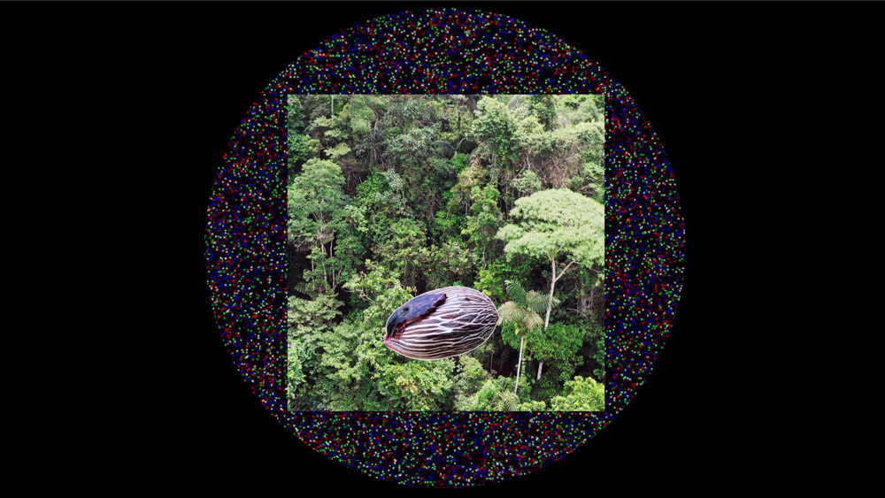 Ursula Biemann: Forest Mind - ARTBOOK|D.A.P.