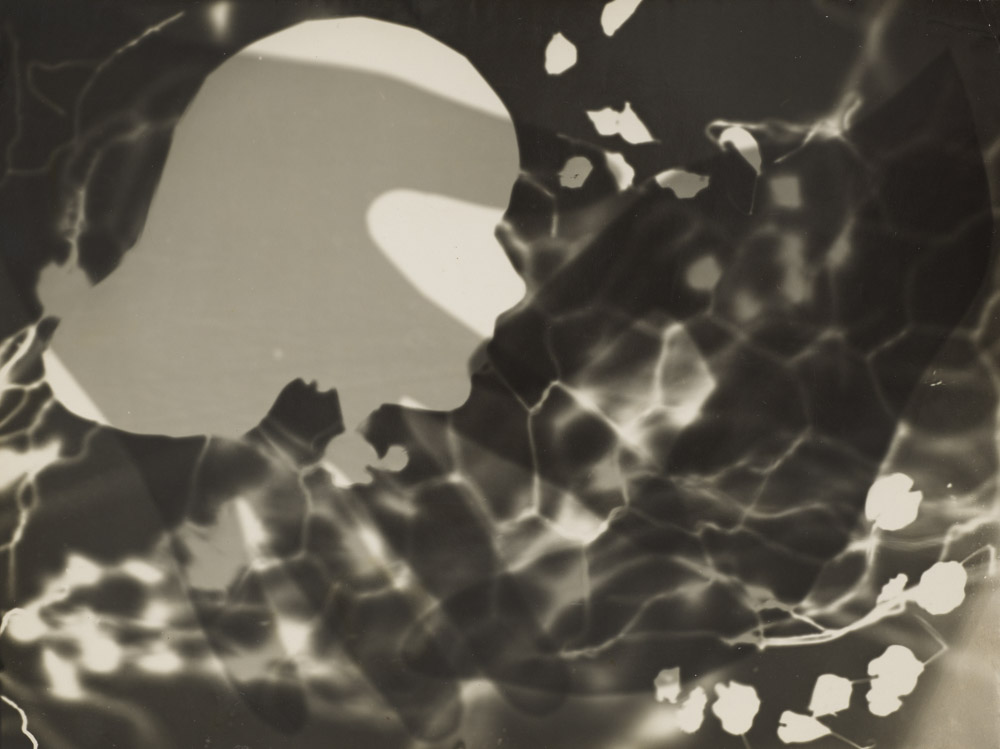 White Shadows: Anneliese Hager and the Camera-less Photograph