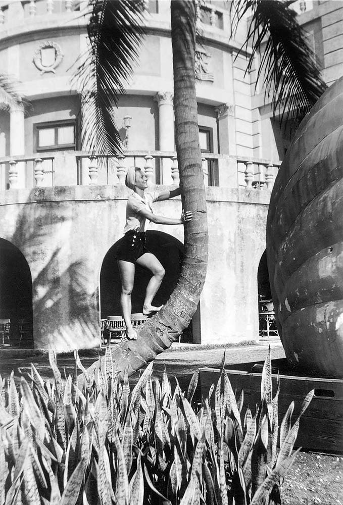 Celebrate Women's History Month with 'Women in Trees'