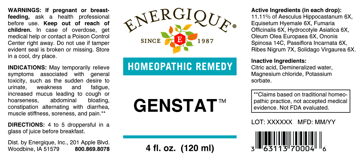 Genstat 4 Oz. By Energique - PKG. 2 | Austin Medical