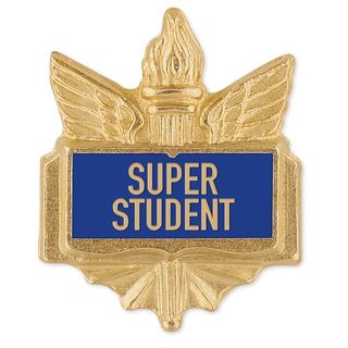 No. 446 Exceptional Achievement Related Pin