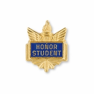 No. 490 Social Science & Social Studies Pin