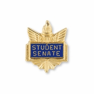 No. 166 Consejo Estudiantil Senado Pin