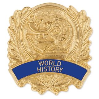 No. 490 World History Pin