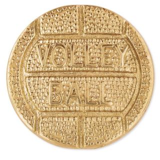 No. 495 Volleyball Pin