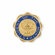 No. 875 Outstanding Volunteer Service Pin