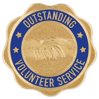 No. 875 Outstanding Volunteer Service Pin