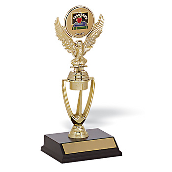 No. 9146 School Spirit Insert Trophy