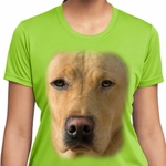 Ladies Yellow Lab Shirt Big Yellow Lab Face Tee T-Shirt - Big Yellow ...