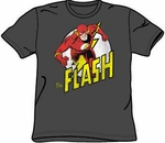 The Flash T-shirt - Fastest Man Alive DC Comics Adult Royal Blue Tee ...