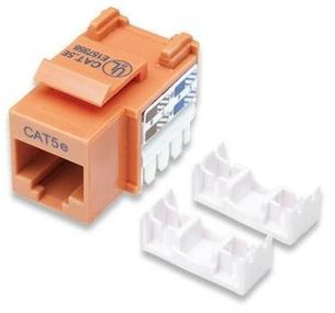 CAT5e RJ45 110-Type Keystone Jack, Orange