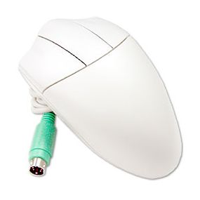 PS/2 Mouse