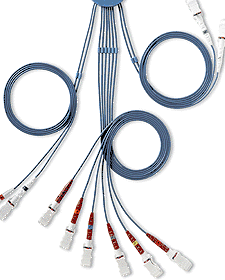 Midmark Brentwood Patient Cable for IQecg EKG | cardiologyshop.com