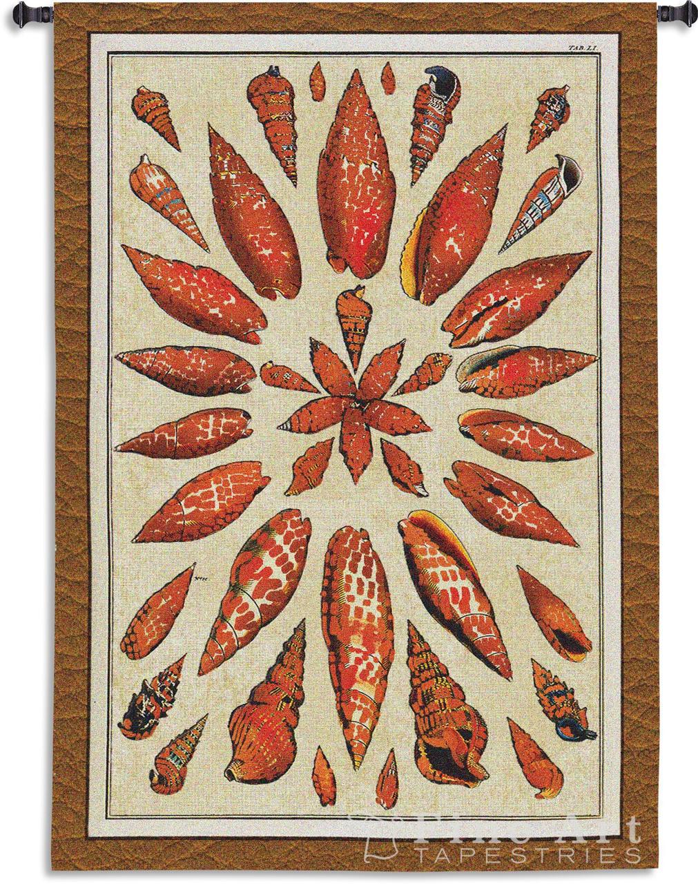 Shells Of The Pacific Ornamental Wall Tapestry, H53" x W40"