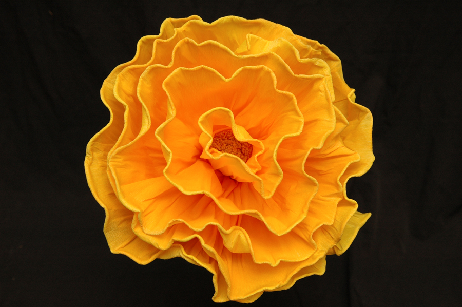 GIANT FANCY PAPER FLOWER-2 tone 7 Colors