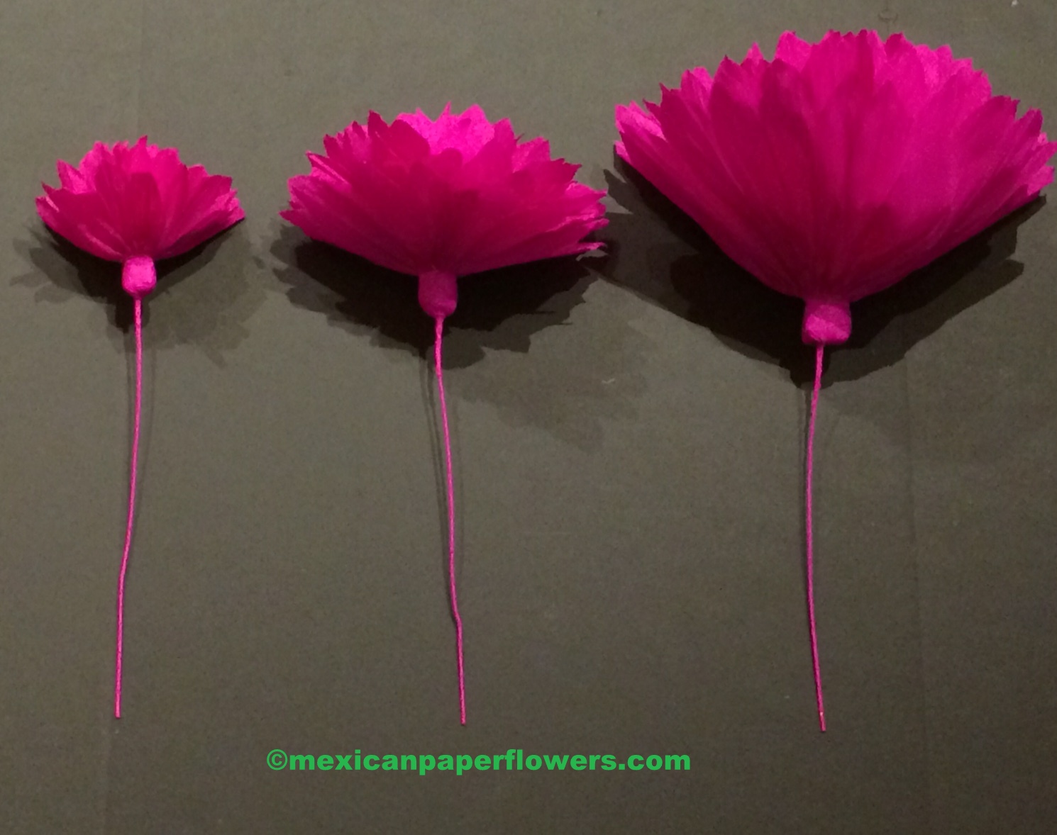 Medium TRADITIONAL Paper Flower -17 Colors
