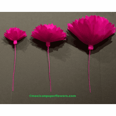 Paper Flowers * Flores De Papel