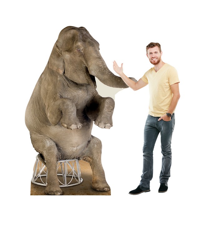 Asian Elephant Standee