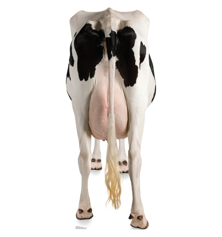 Cow's Rear Standee
