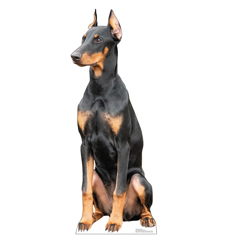 Doberman Dog Cardboard Cutout
