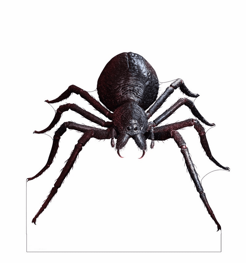 Spider Standees