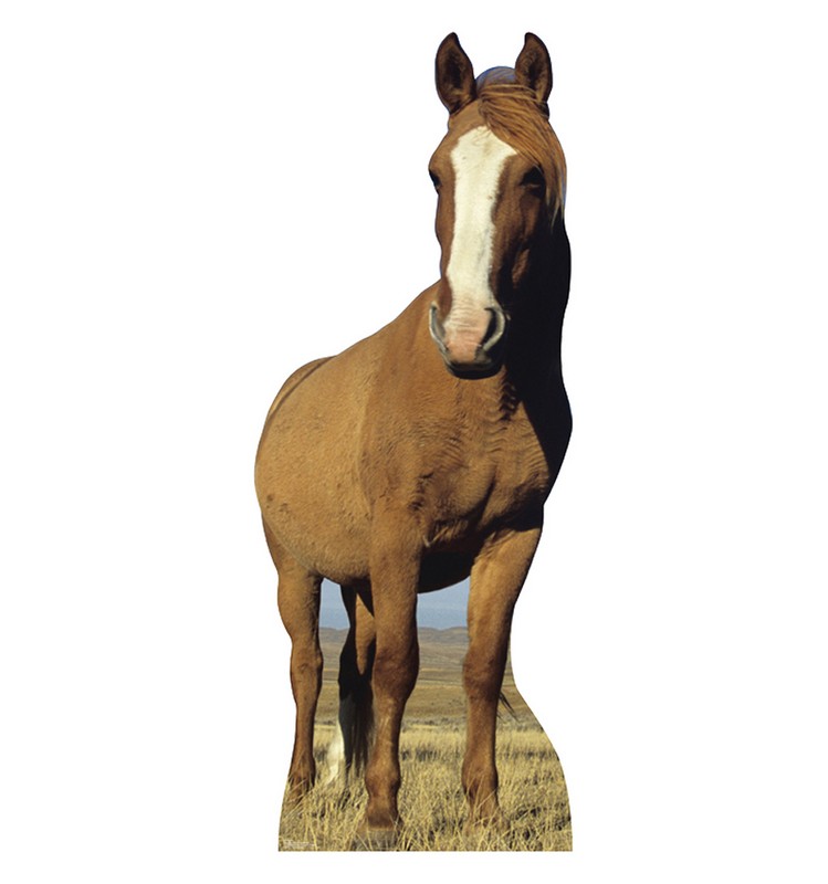 Horse Standee