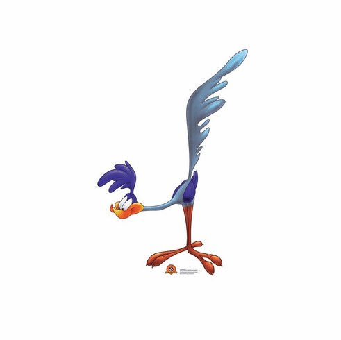 Road Runner Looney Tunes Standee