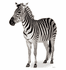 Zebra Standee