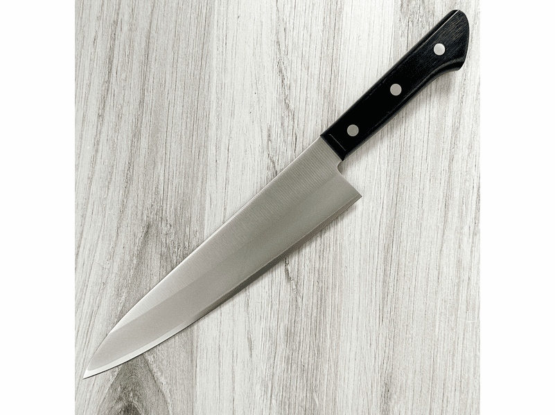 Tojiro Basic VG10 Gyuto 200mm