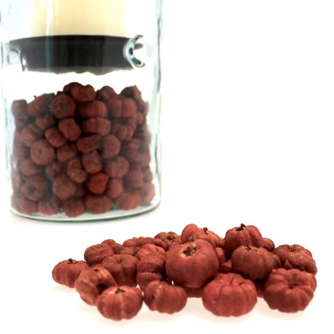 Garden Route - Orange Putka Pods - 3.4oz