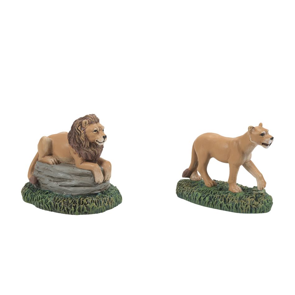 Village Accessory - Zoological Gardens Lions Set/2 2022