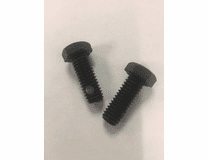 Water Neck Bolts