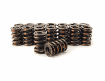 Valve Springs