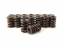 Valve Springs