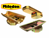 Milodon
