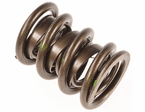 Valve Springs