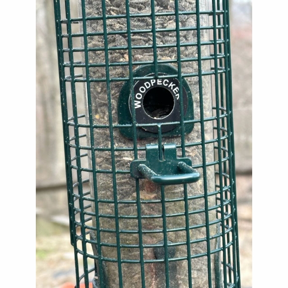 Birds Can Read Feeder Labels