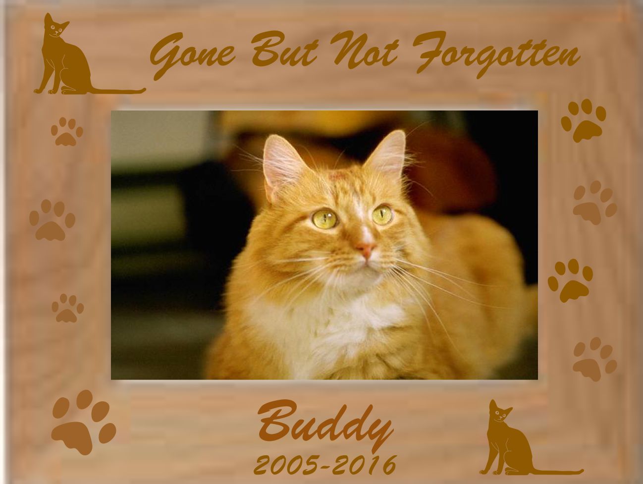 Pet Cat Custom Engraved Memorial Picture Frame