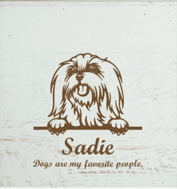 Personalized Dog Wall Plaque - Wall Box Sign or Tabletop Decor With Dog ...