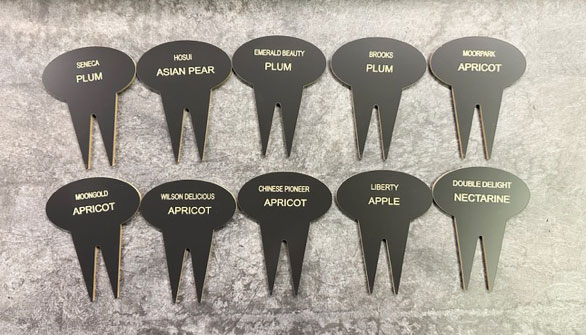 Fruit Tree Name Tag
