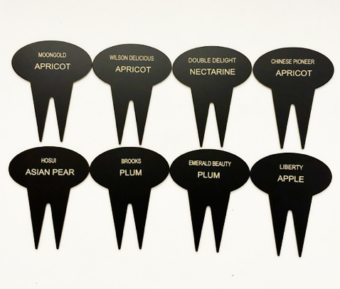 Fruit Tree Name Tag