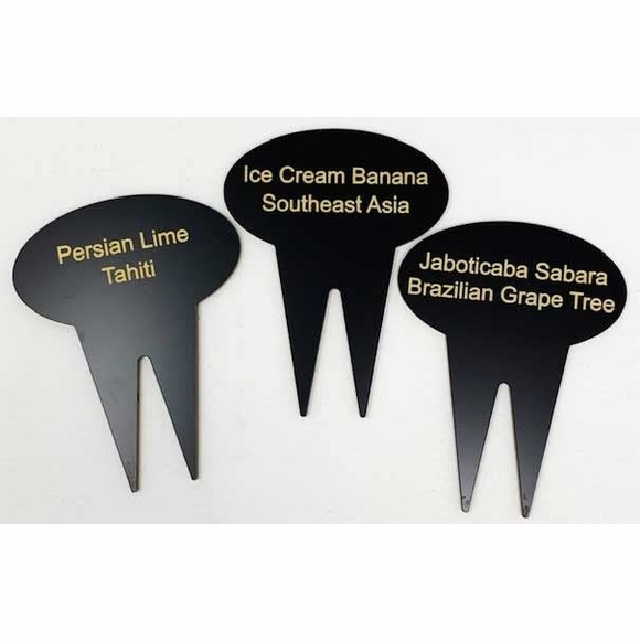 Fruit Tree Name Tag
