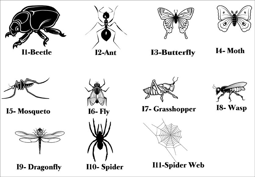 Insect Theme House Number Sign - Butterfly, Spider, Bee, Dragonfly, and ...