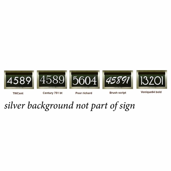 Light Up Wall Mount House Number Plaque - Choose 120V, Low Voltage, or ...