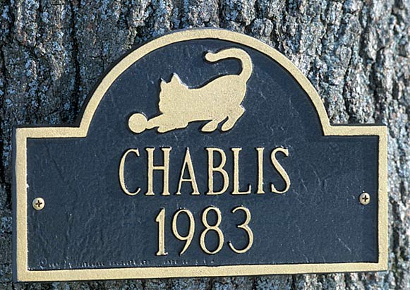 Personalized Cat House Sign - Name Plaque