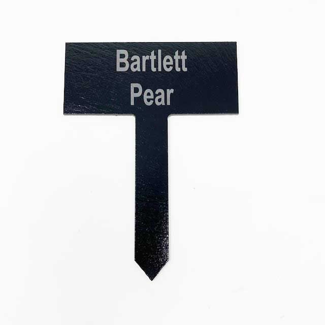 Plant, Vegetable, Tree Slate Stake Signs