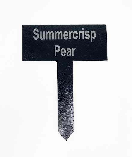 Plant, Vegetable, Tree Slate Stake Signs