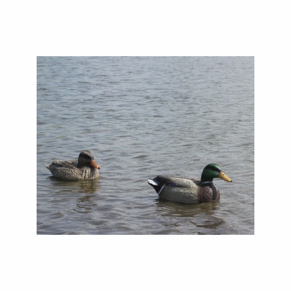 Realistic Floating Mallard Duck Hen